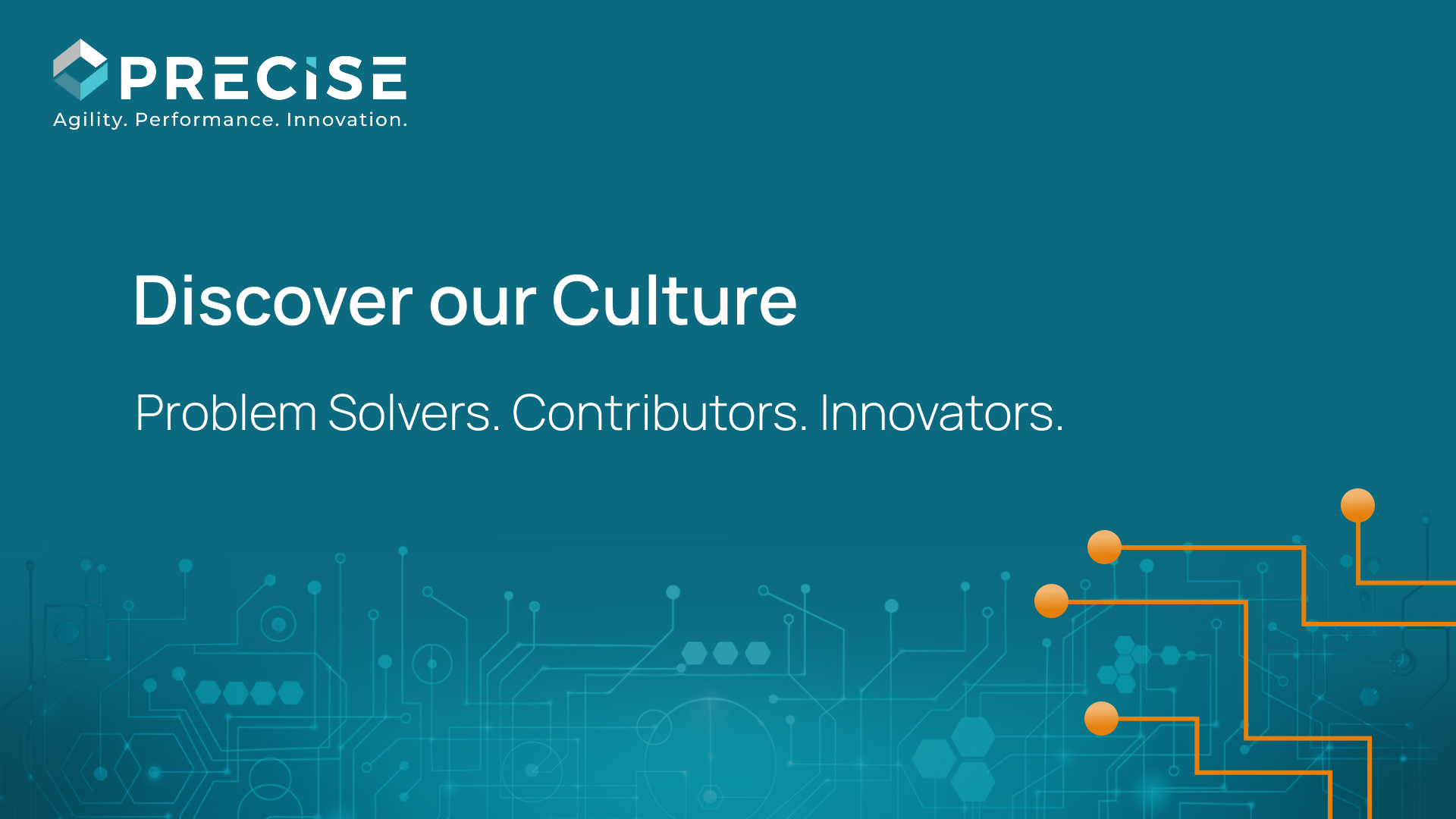 Who We Are - Precise Software Solutions